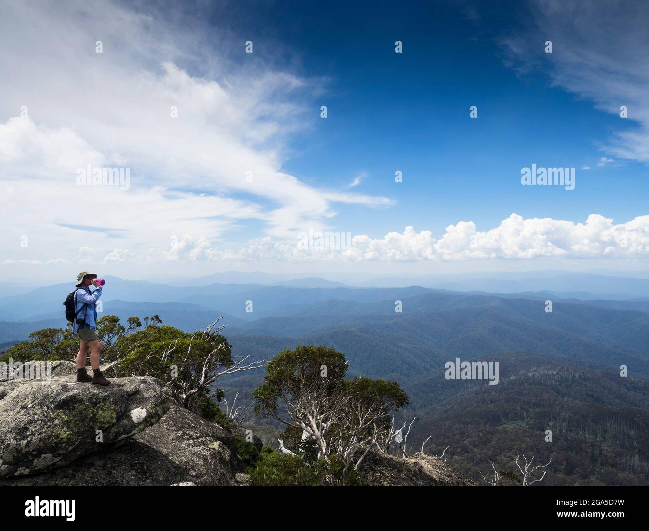 Mt Wills (1747m) is a popular bushwalking destination in the Victorian ...