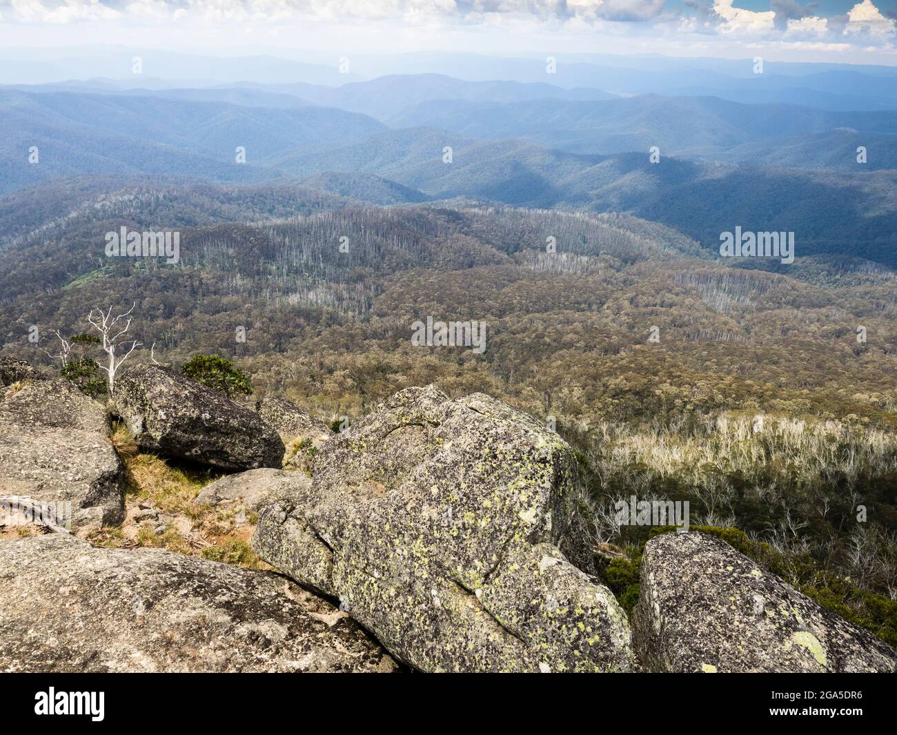 Alpine National Park, Victoria, Australia Stock Photo - Alamy