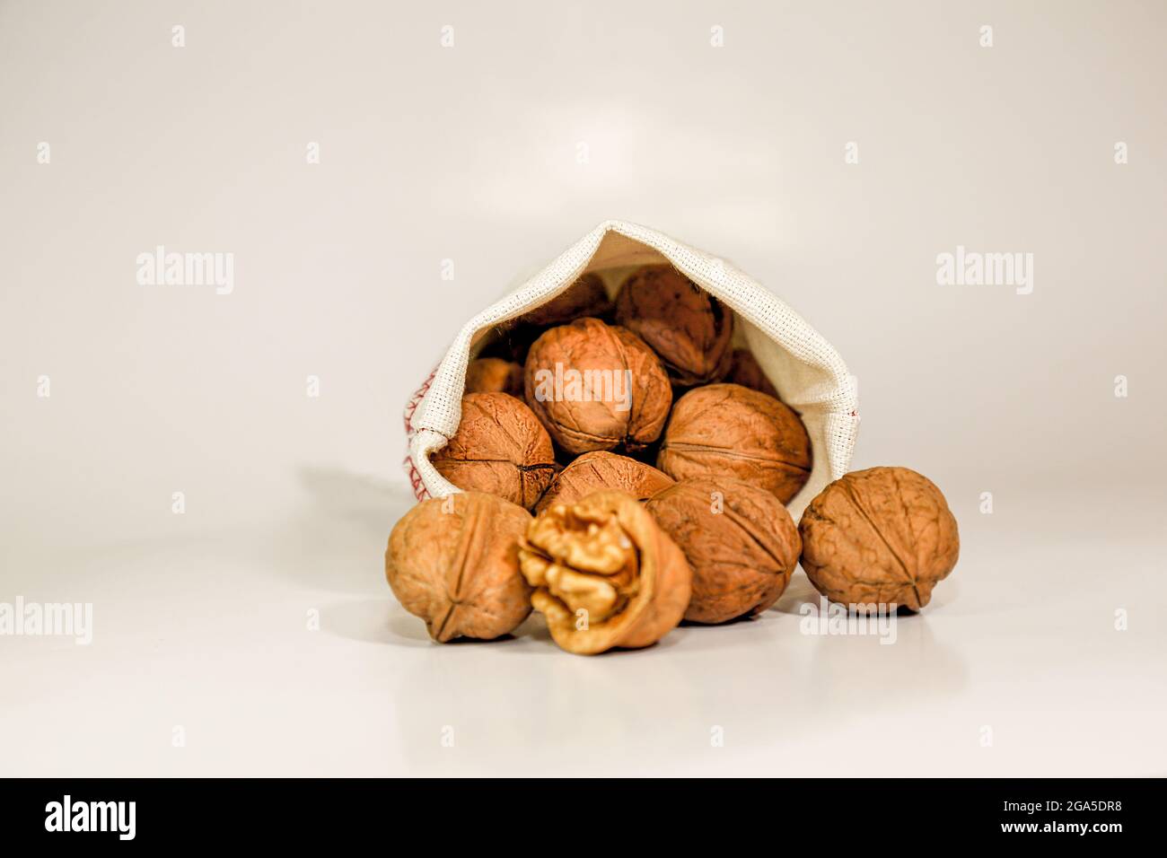 Walnuts in their shells fell out of the bag on a gray background ...