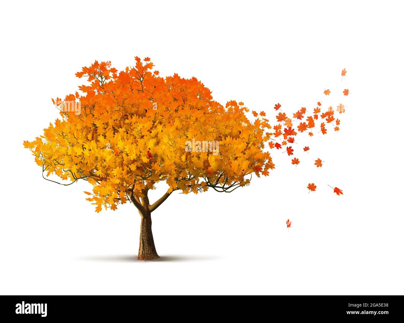 red autumn tree isolated with maple leaves falling, 3D illustration ...