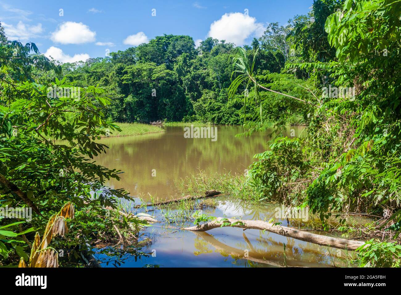 Madidi National Park