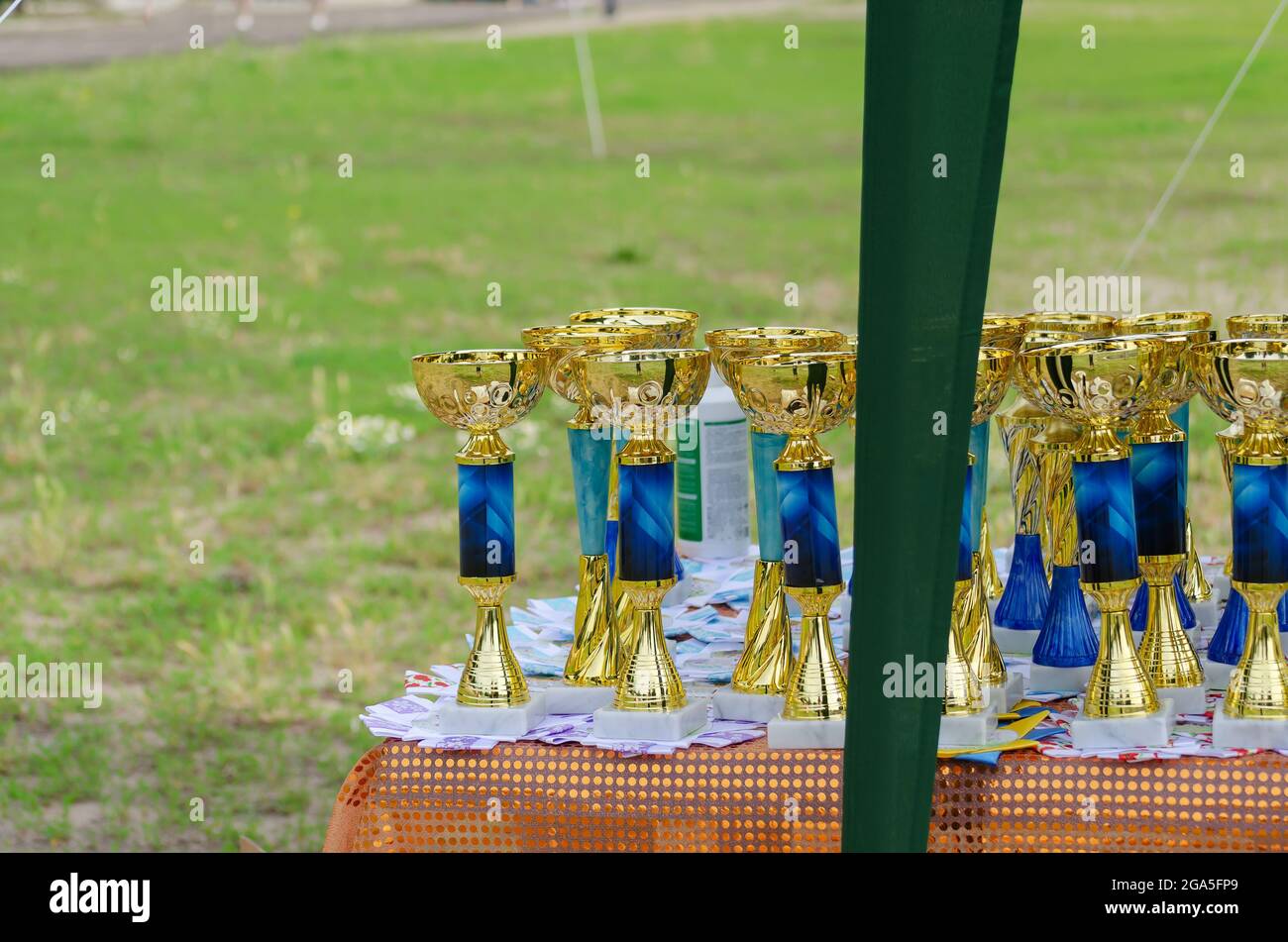 Gold sports trophies against the backdrop of a green soccer field. A ...