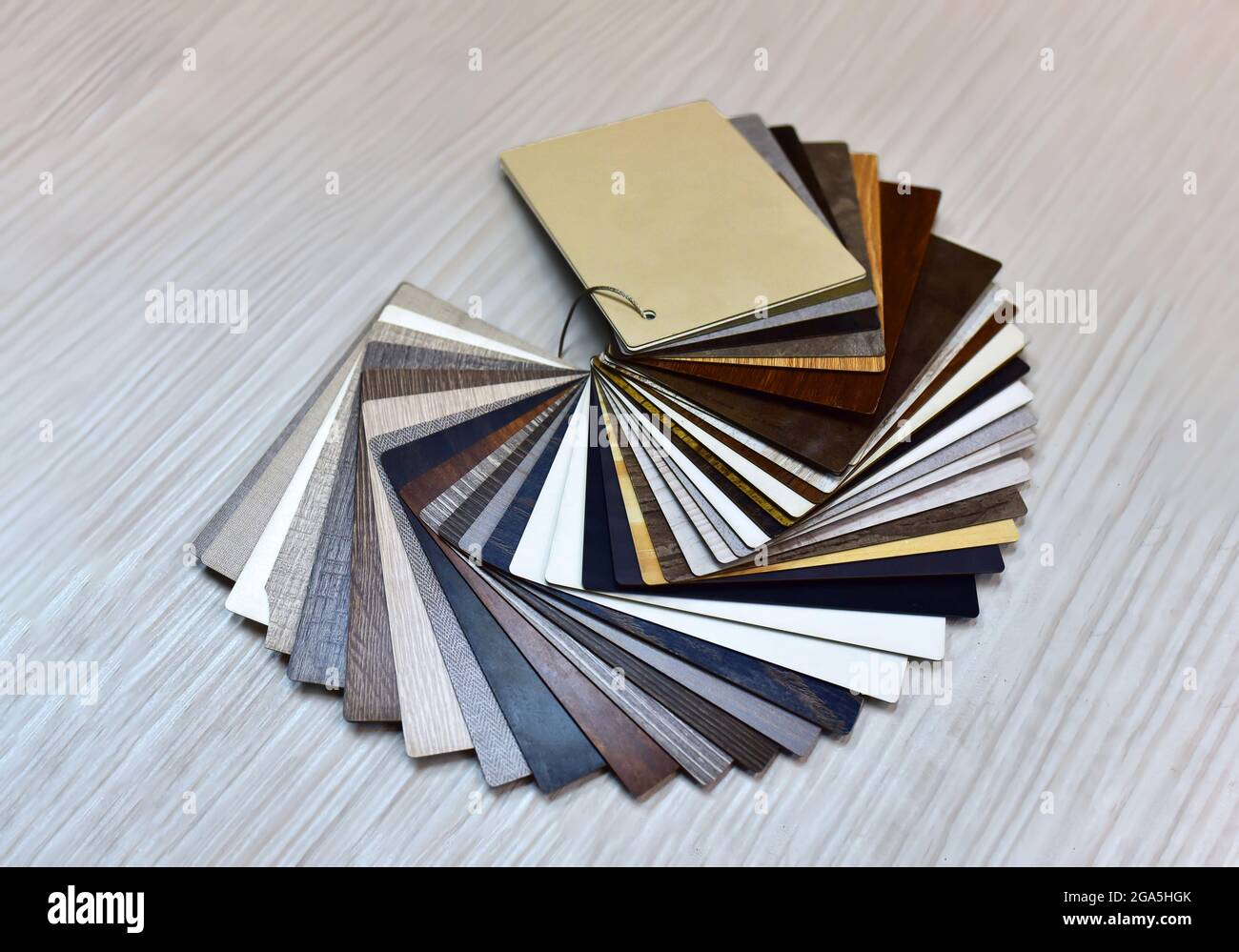 Color palette swatches. Palette of different colors and shades on wood ...