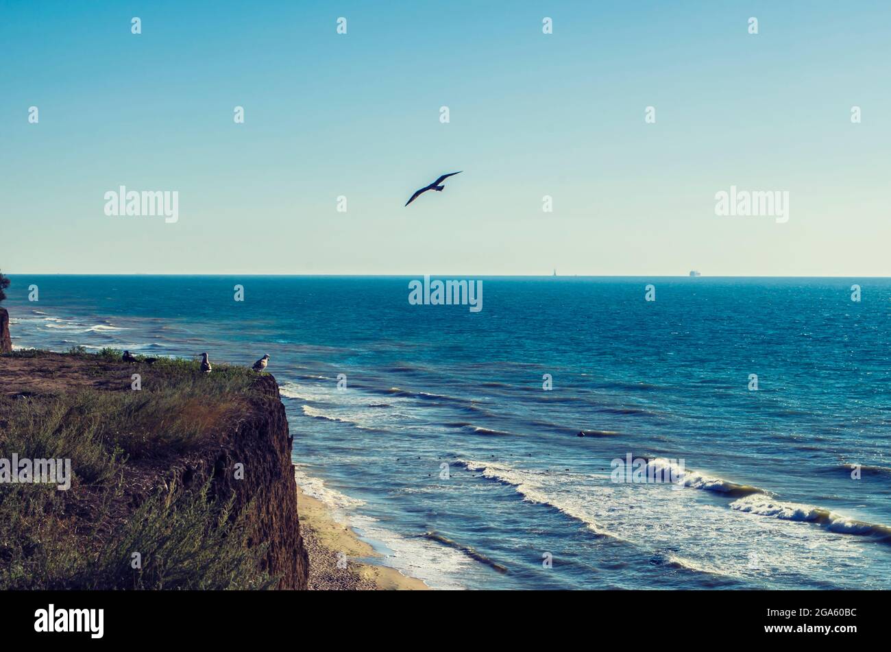 Cliff over the sea flying seagulls beautiful seascape. Natural photo ...