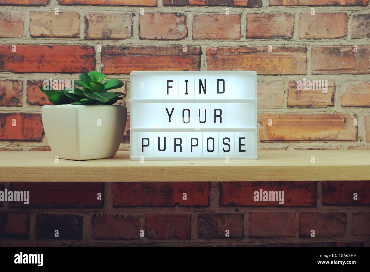 Find your purpose word in light box on brick wall and wooden shelves ...