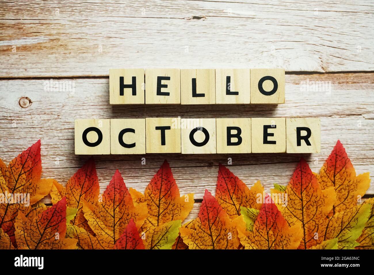 Happy October alphabet letter with maple leaves decoration on wooden ...