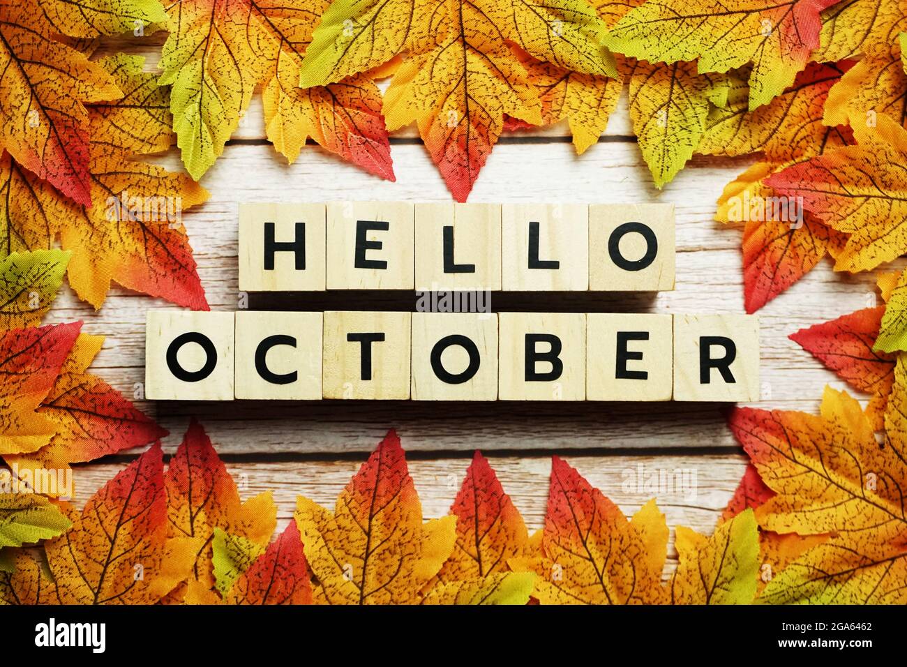 Happy October alphabet letter with maple leaves decoration on wooden ...