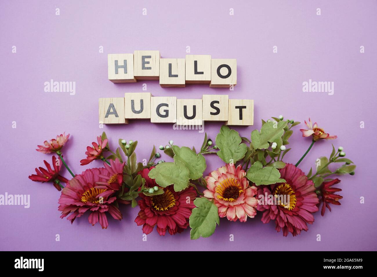 Hello August alphabet letters with pink flower decoration on purple ...