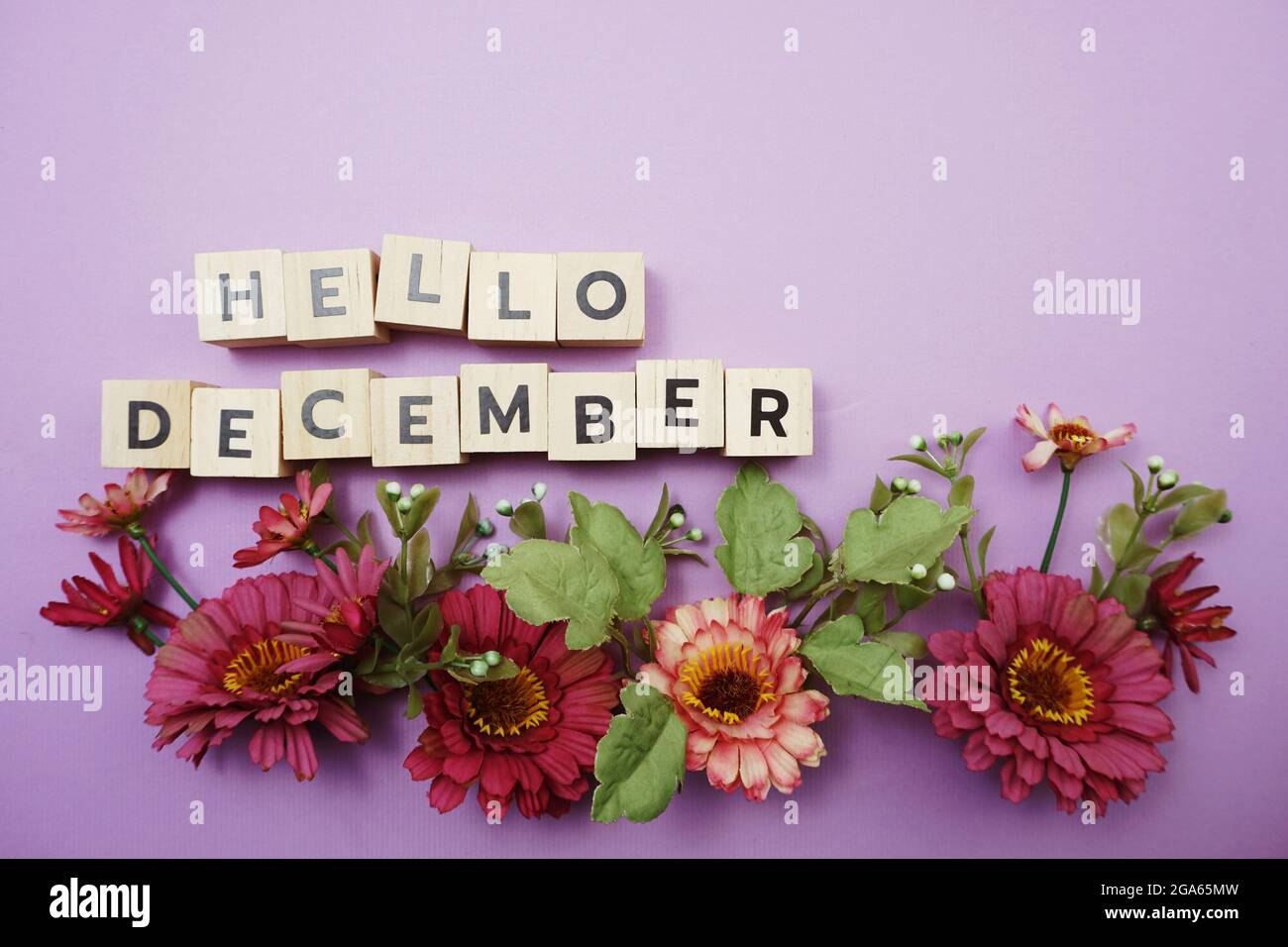 Hello December alphabet letters with flower decoration on purple ...