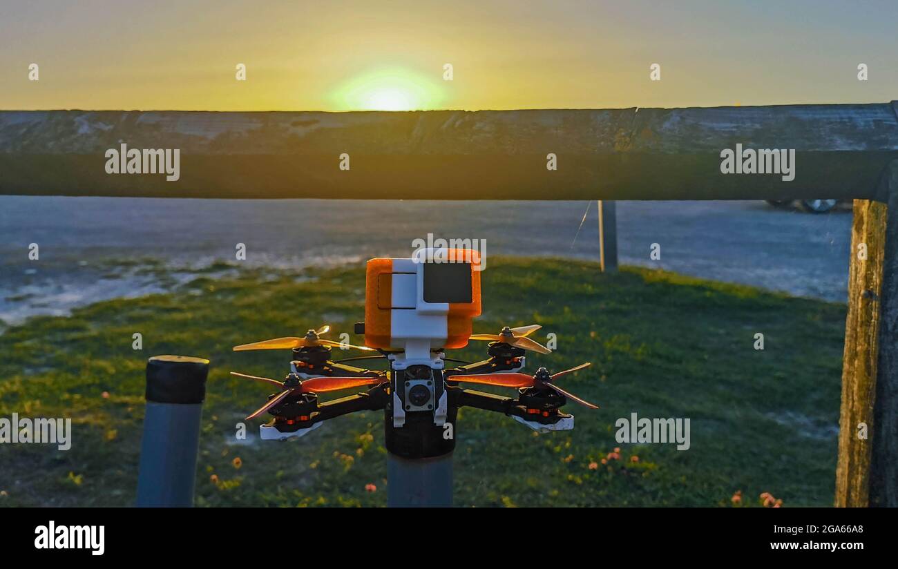 Diatone roma hi-res stock photography and images - Alamy