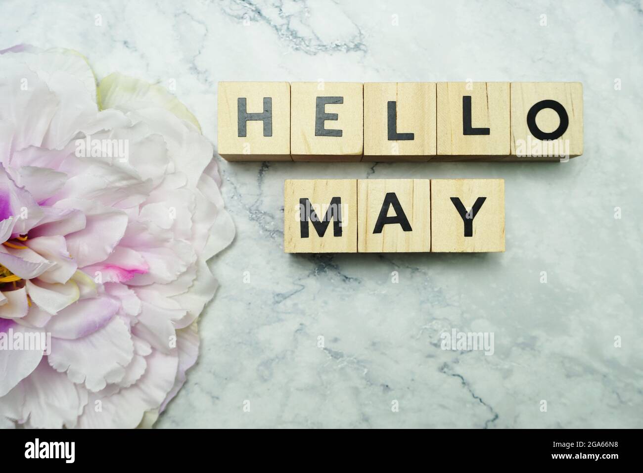 Hello May alphabet letters with pink flower decoration on marble ...