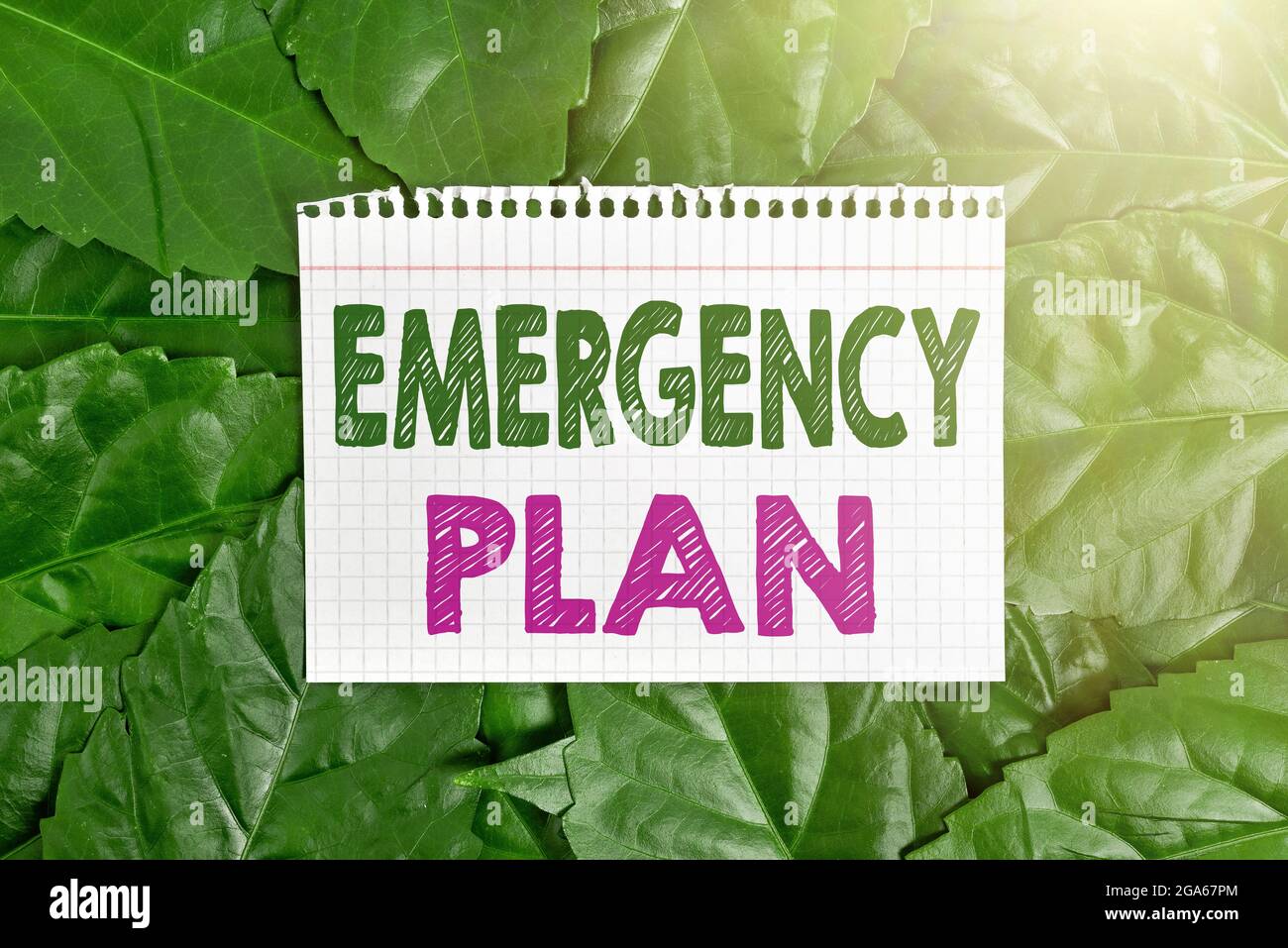 Handwriting text Emergency Plan. Word Written on instructions that ...