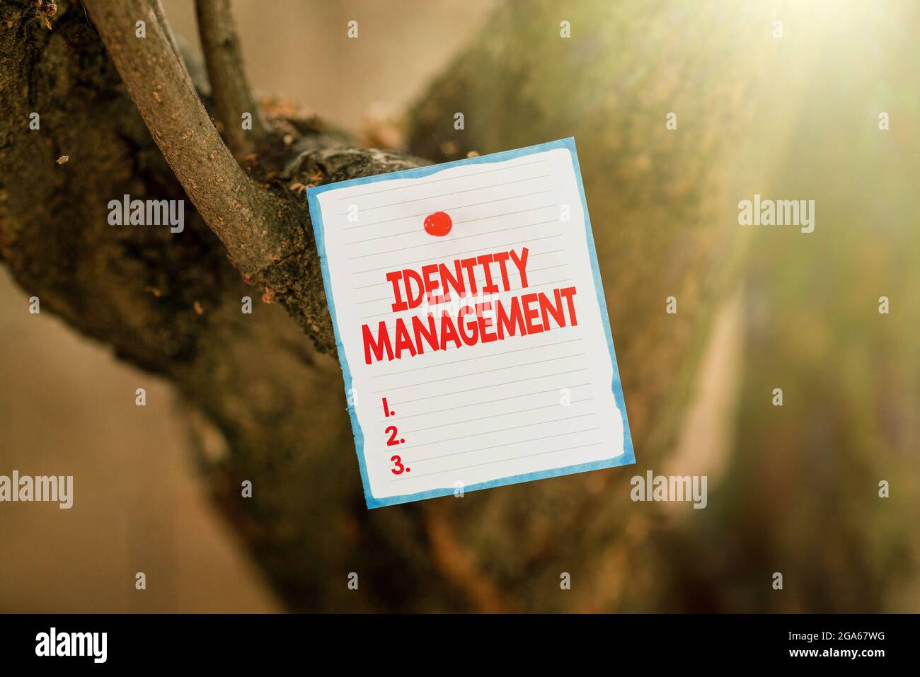 Text showing inspiration Identity Management. Internet Concept ...