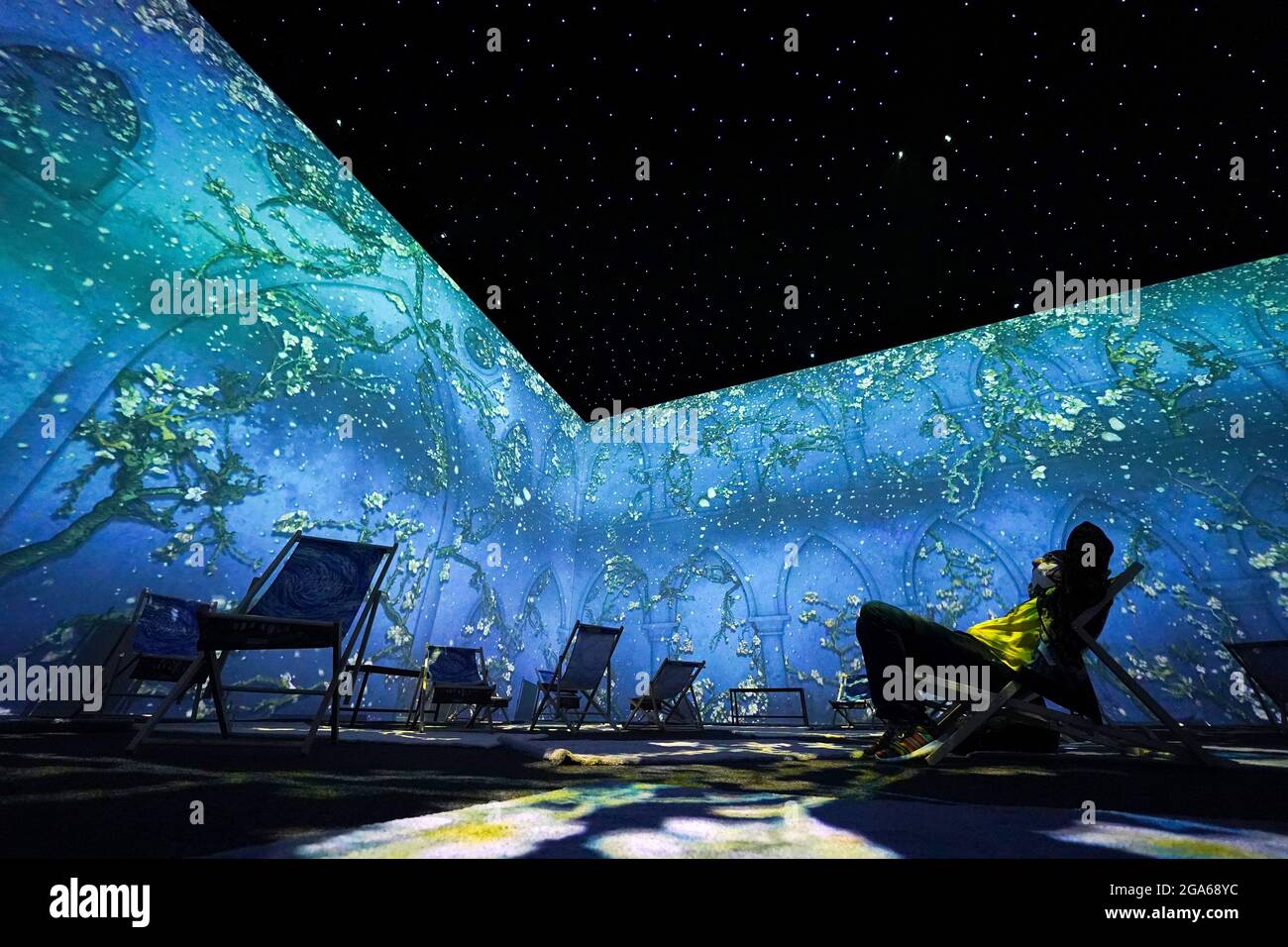 A person watches a projection which is part of the Van Gogh: The ...