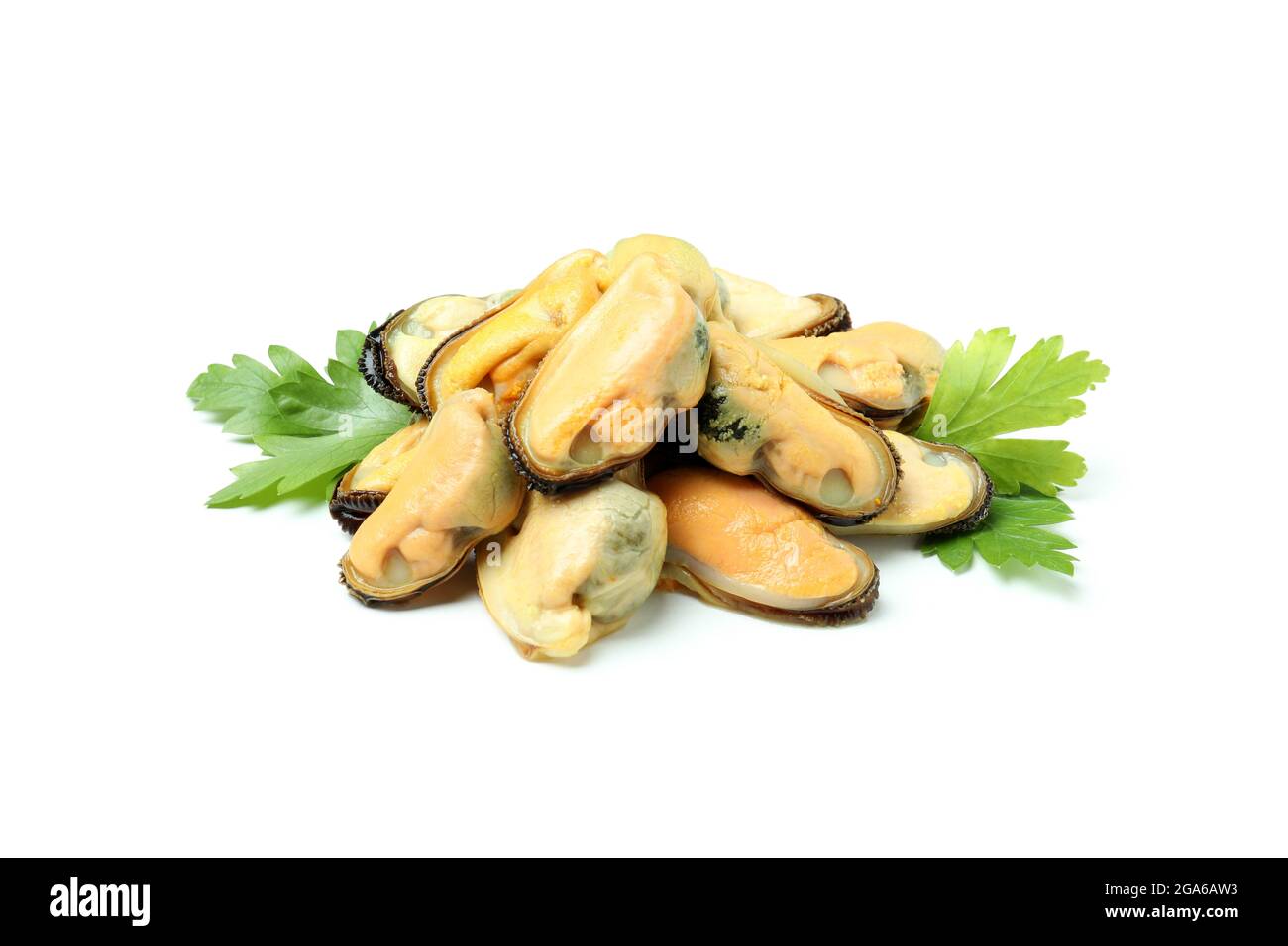 Fresh mussels seafood isolated on white background Stock Photo - Alamy