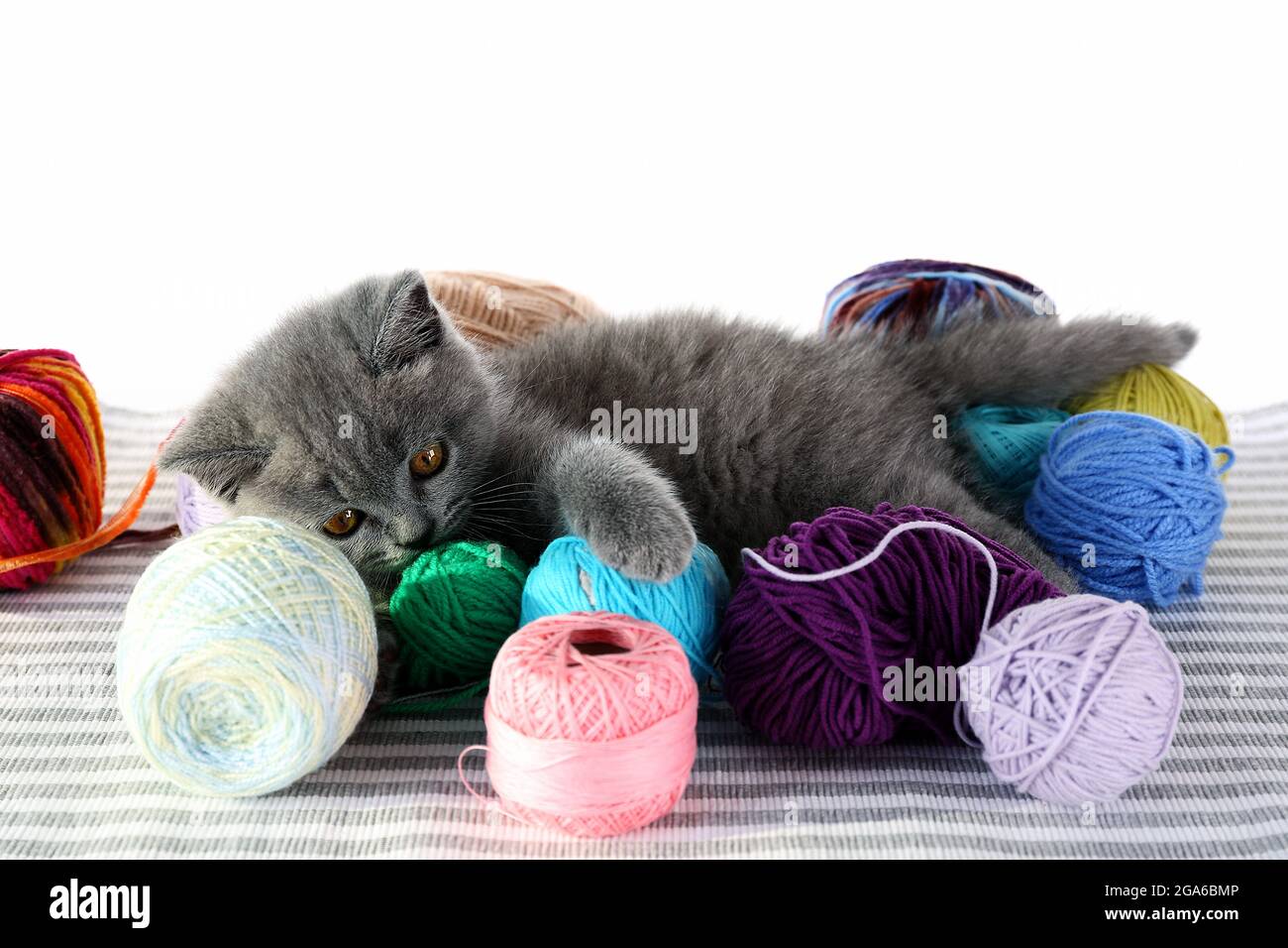 Cute gray kitten with colorful balls of thread on striped carpet ...