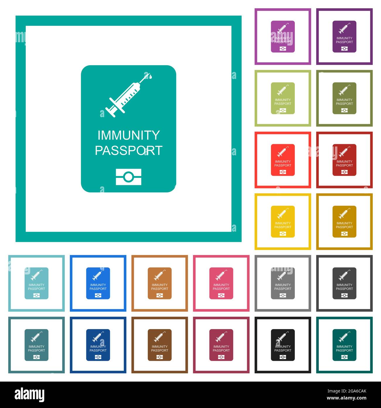 Immunity passport flat color icons with quadrant frames on white ...