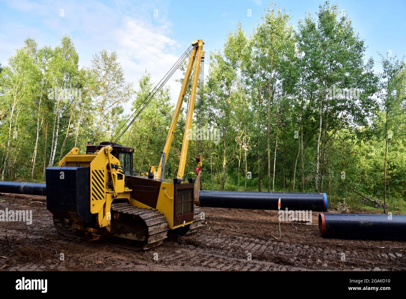 Natural gas pipeline construction work in forest area. Installation of ...