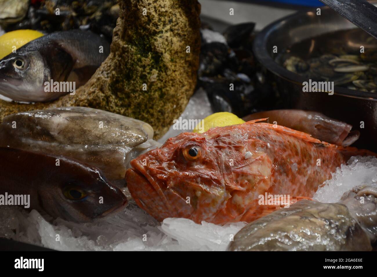 Fresh seafood restaurant malta hi-res stock photography and images - Alamy