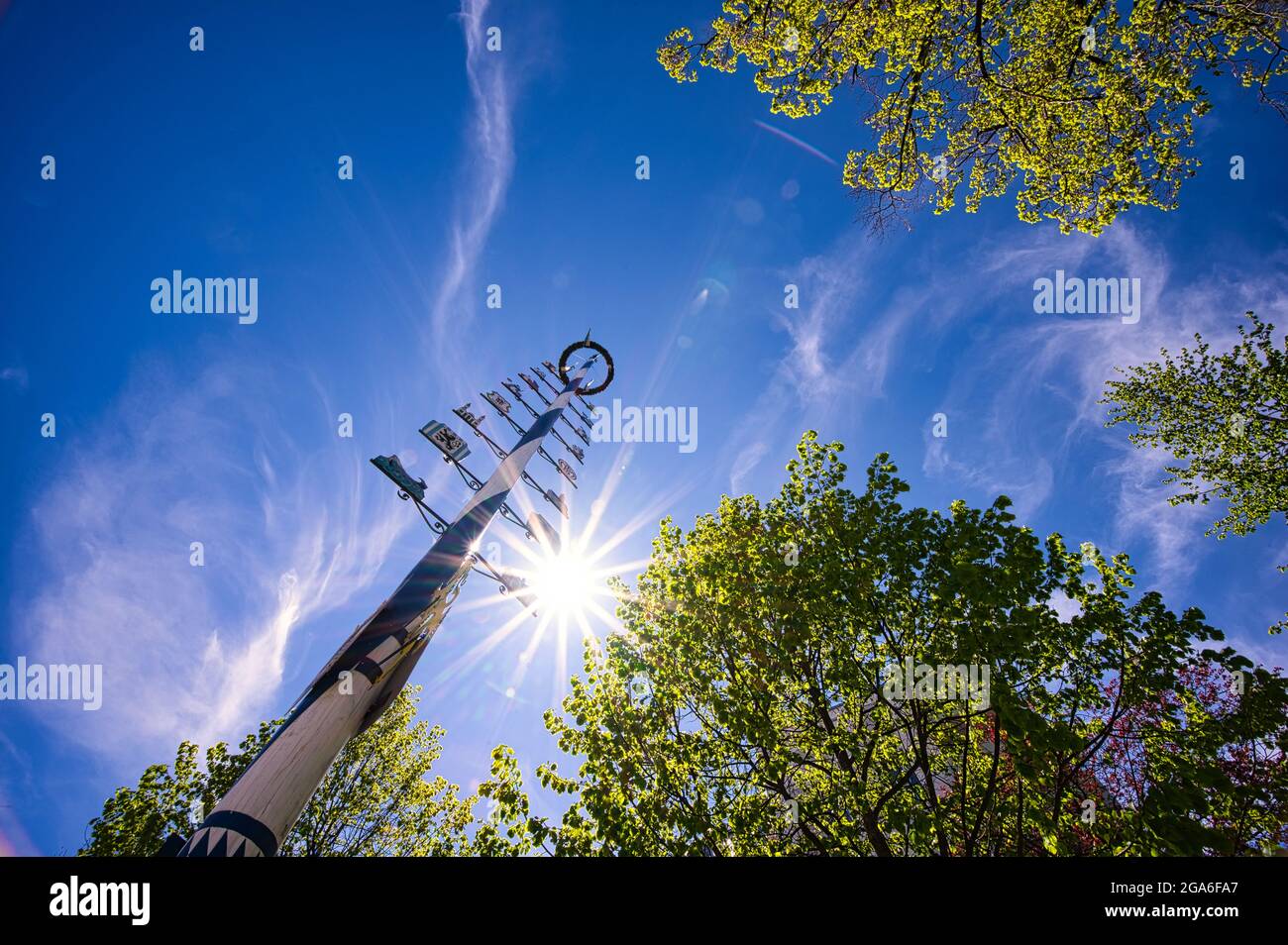 Low angle shot of a traditional bavarian maypole in Munich, Germany ...