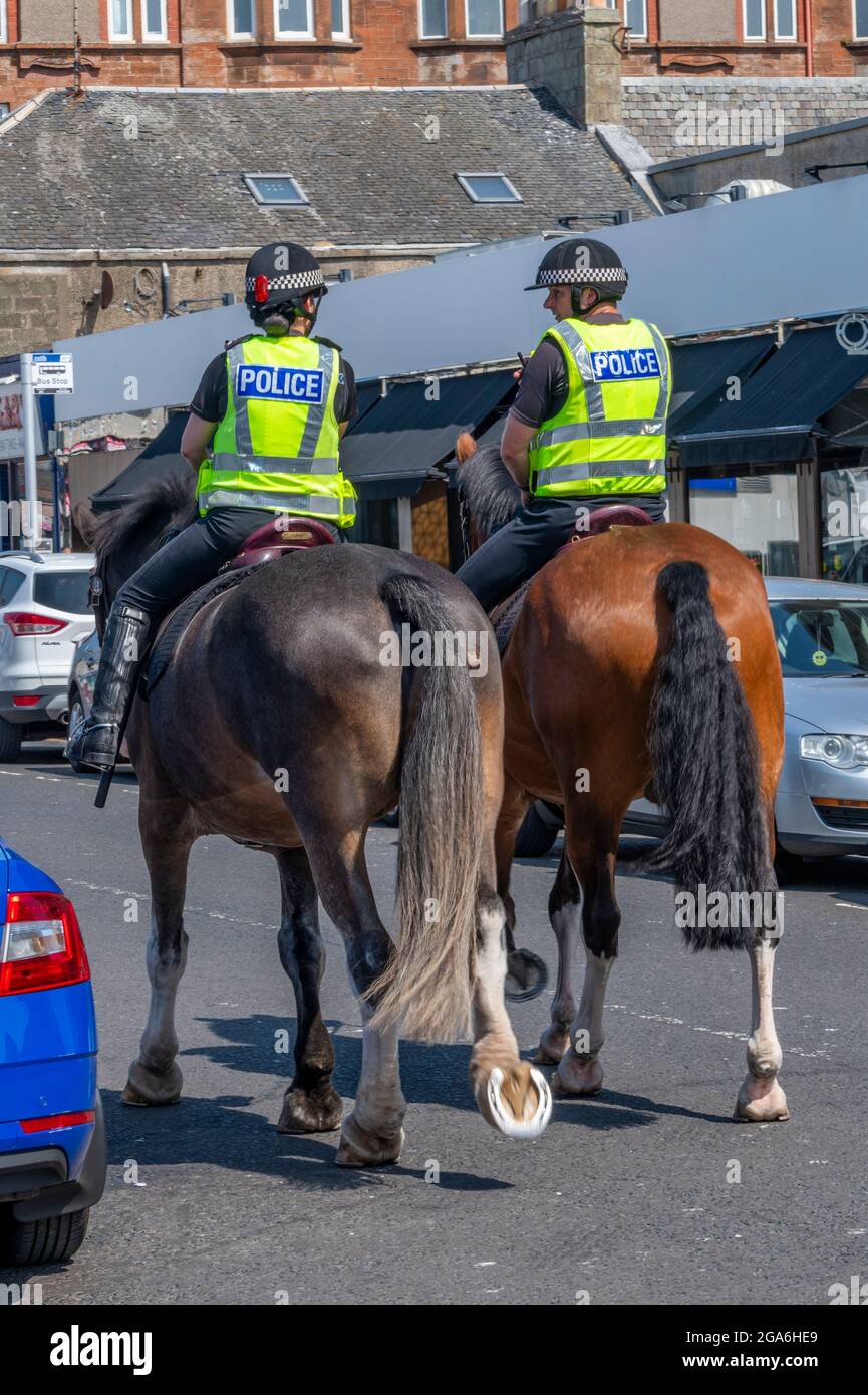 Police Riding Horse