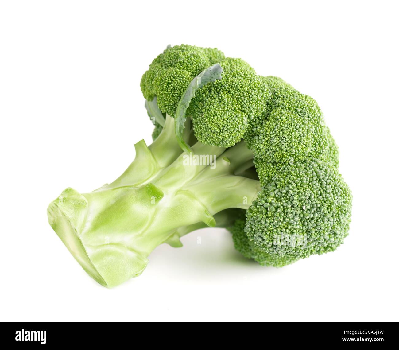 Broccoli isolated on white background. Raw green broccoli vegetable ...