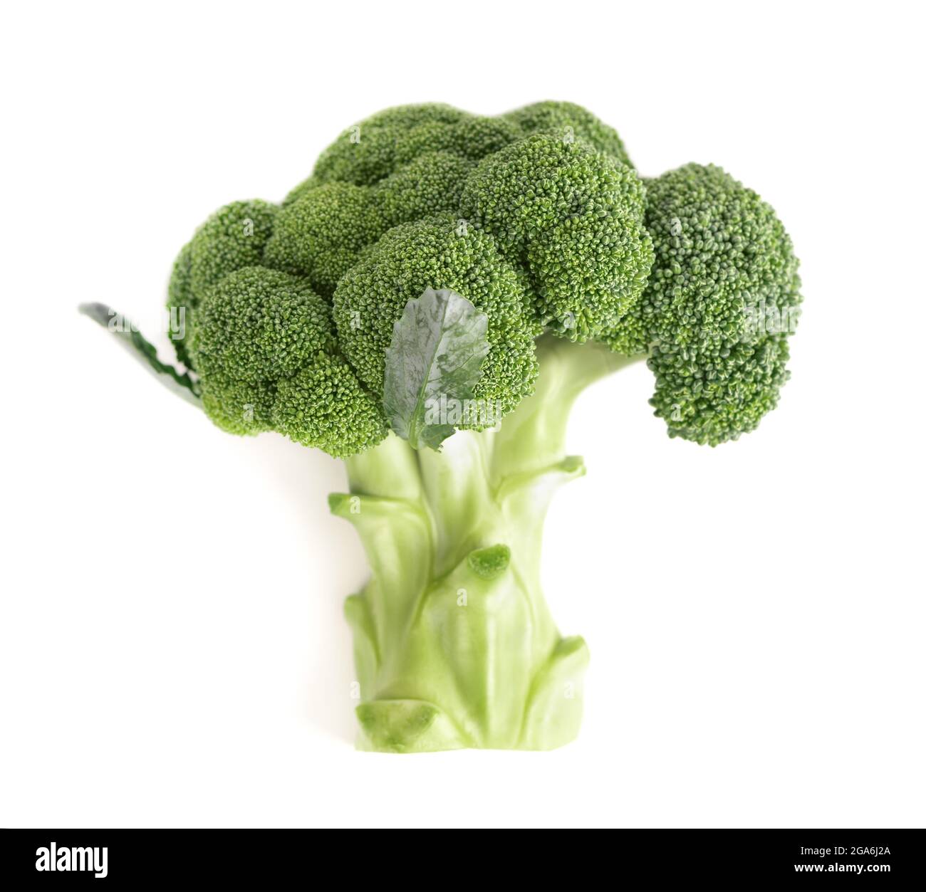 Broccoli isolated on white background. Raw green broccoli vegetable ...