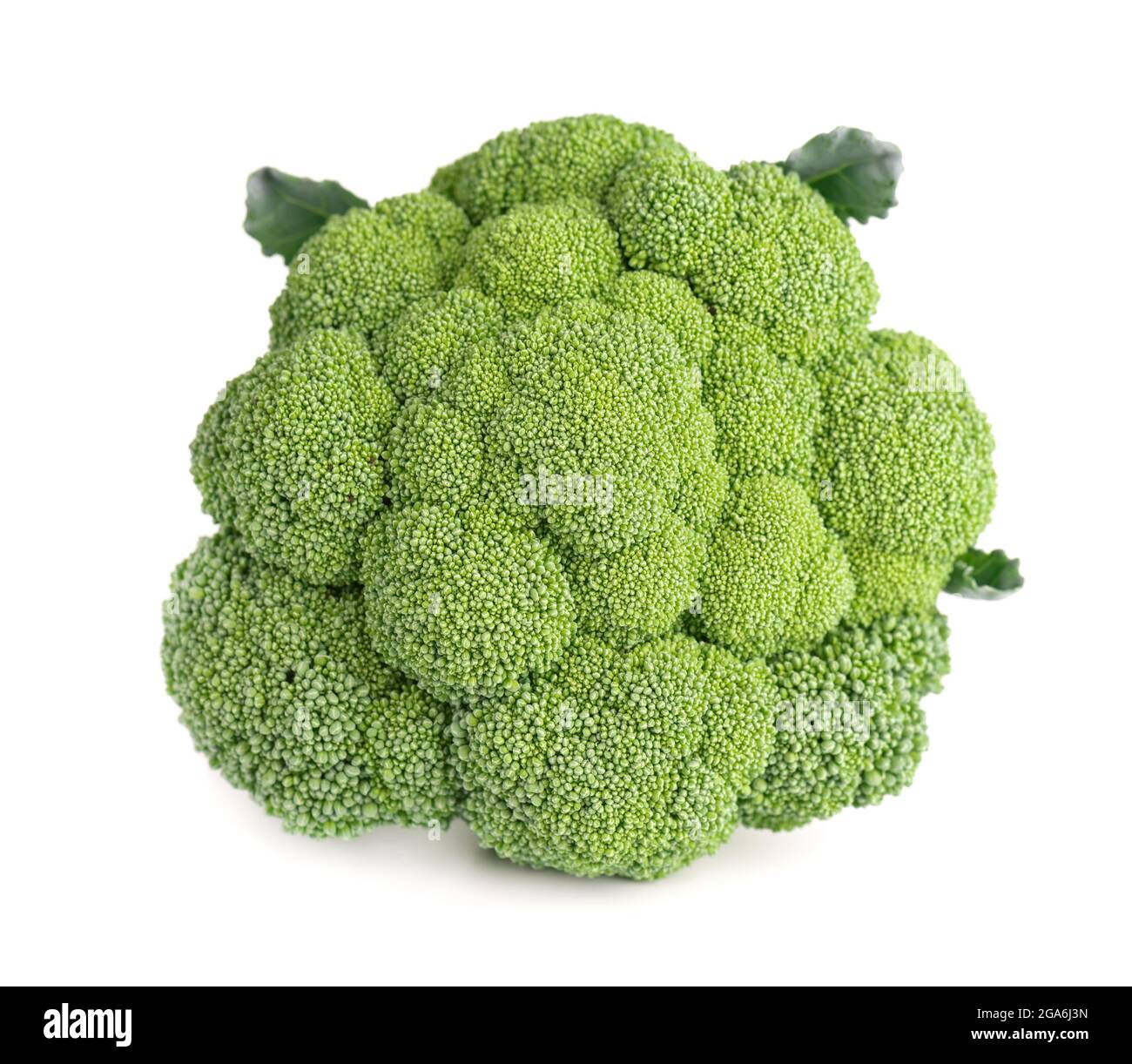 Broccoli isolated on white background. Raw green broccoli vegetable ...