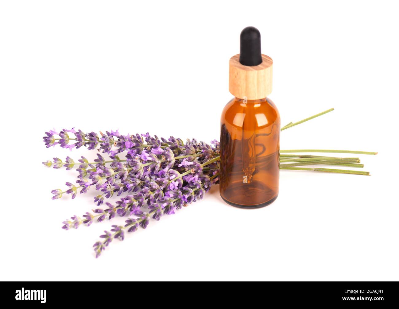 Lavender flowers with glass bottle for essential oil, isolated on white ...