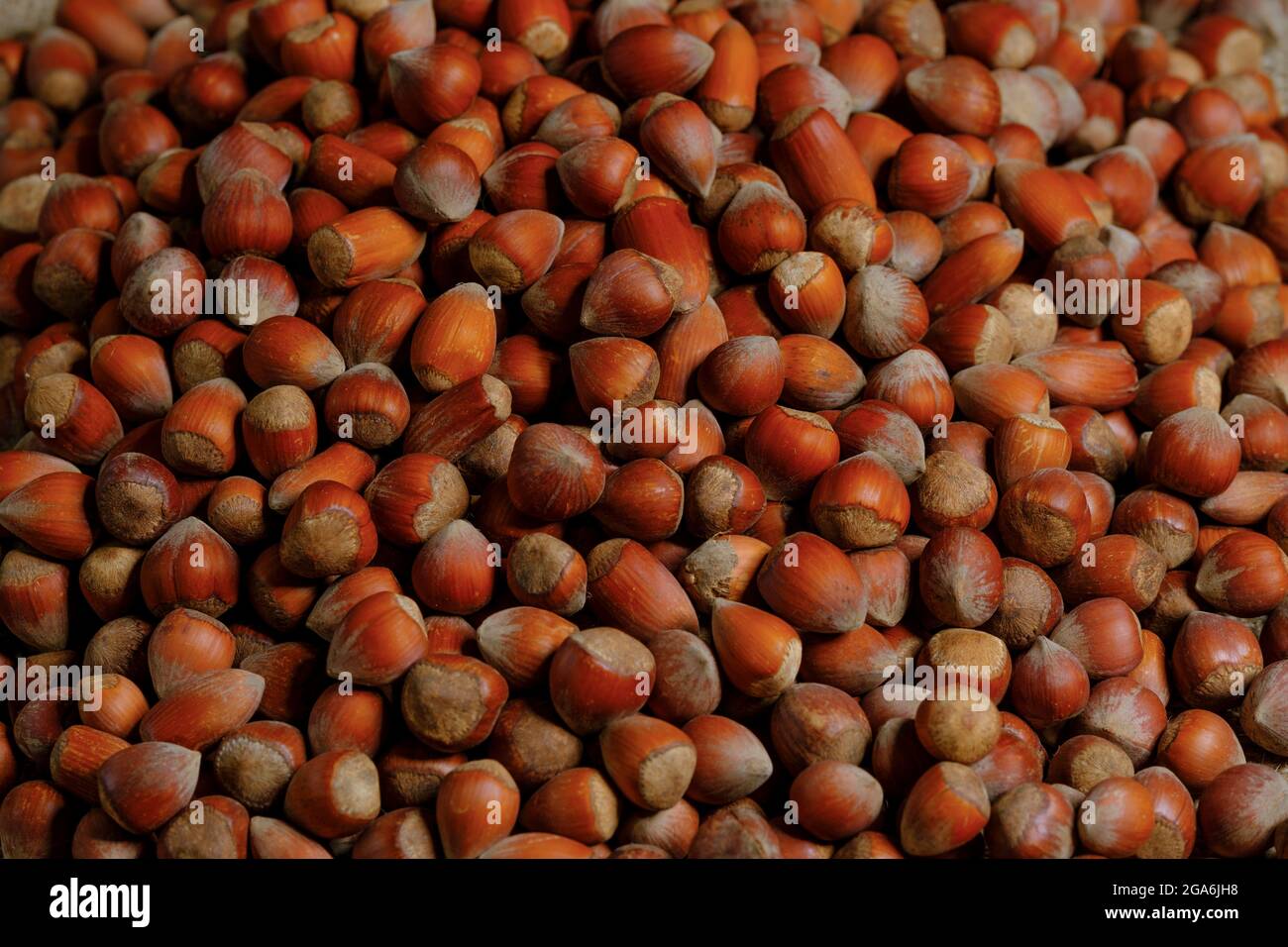 Hazelnuts on the wicker in front of black background Stock Photo - Alamy
