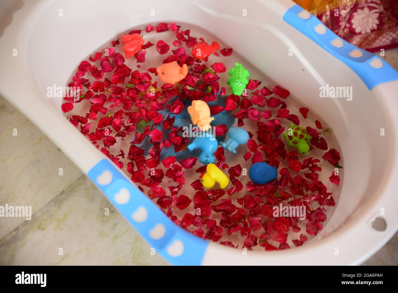 Froth born hi-res stock photography and images - Alamy