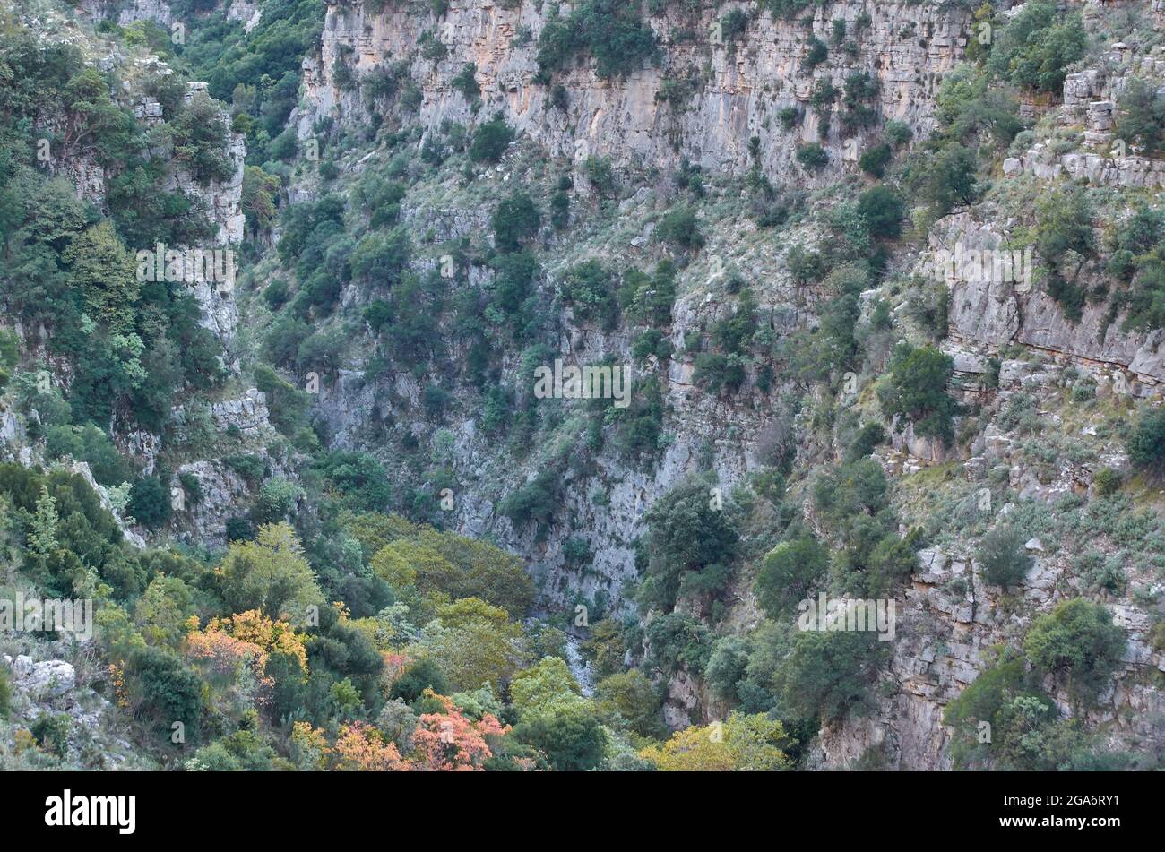 Natural scenery from the famous Ridomo gorge in Taygetus Mountain. The ...