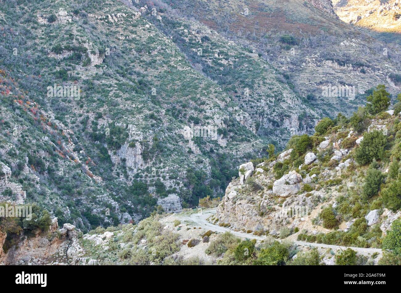 Natural scenery from the famous Ridomo gorge in Taygetus Mountain. The ...