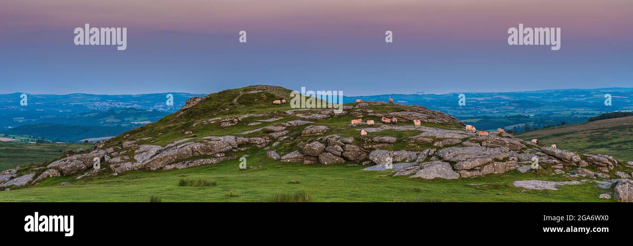 Sunset over fields in Haytor Rocks, Dartmoor Park, Devon, England Stock ...