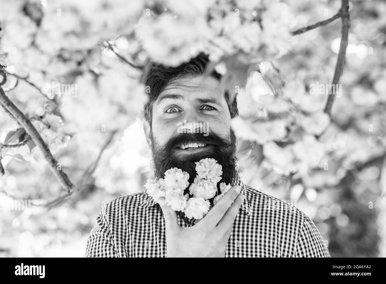 Posing by cherry blossom Black and White Stock Photos & Images - Alamy