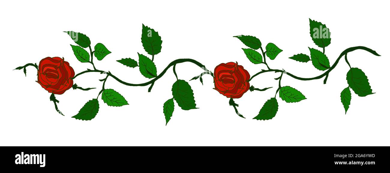 Nature, red rose ,design ,illustration pattern Stock Photo - Alamy