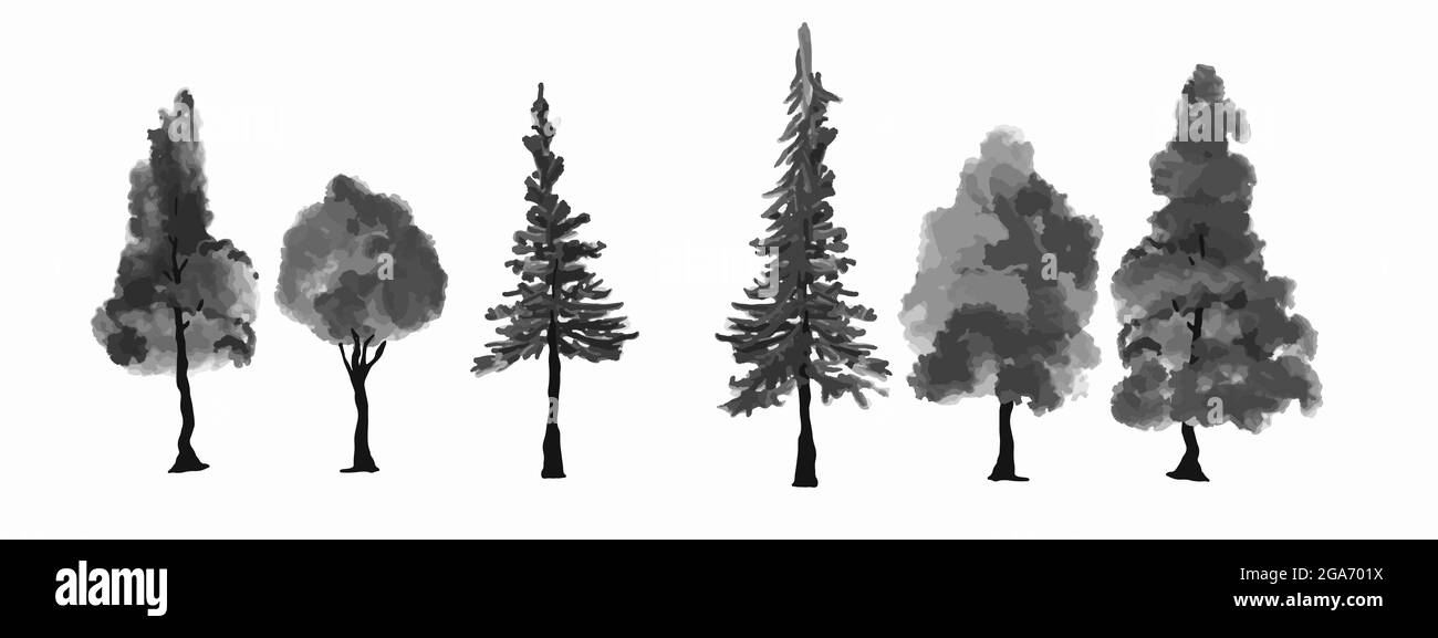 Cypress Tree Silhouette