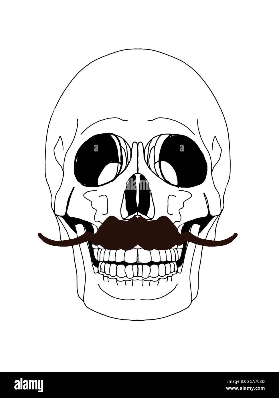 Open skulls Cut Out Stock Images & Pictures - Alamy