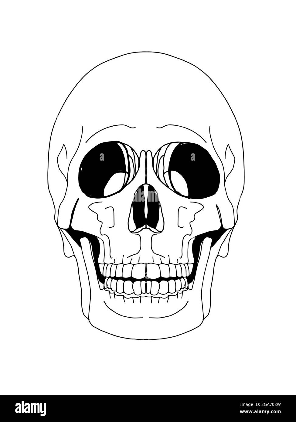 Mexican skull drawing vintage Cut Out Stock Images & Pictures - Alamy