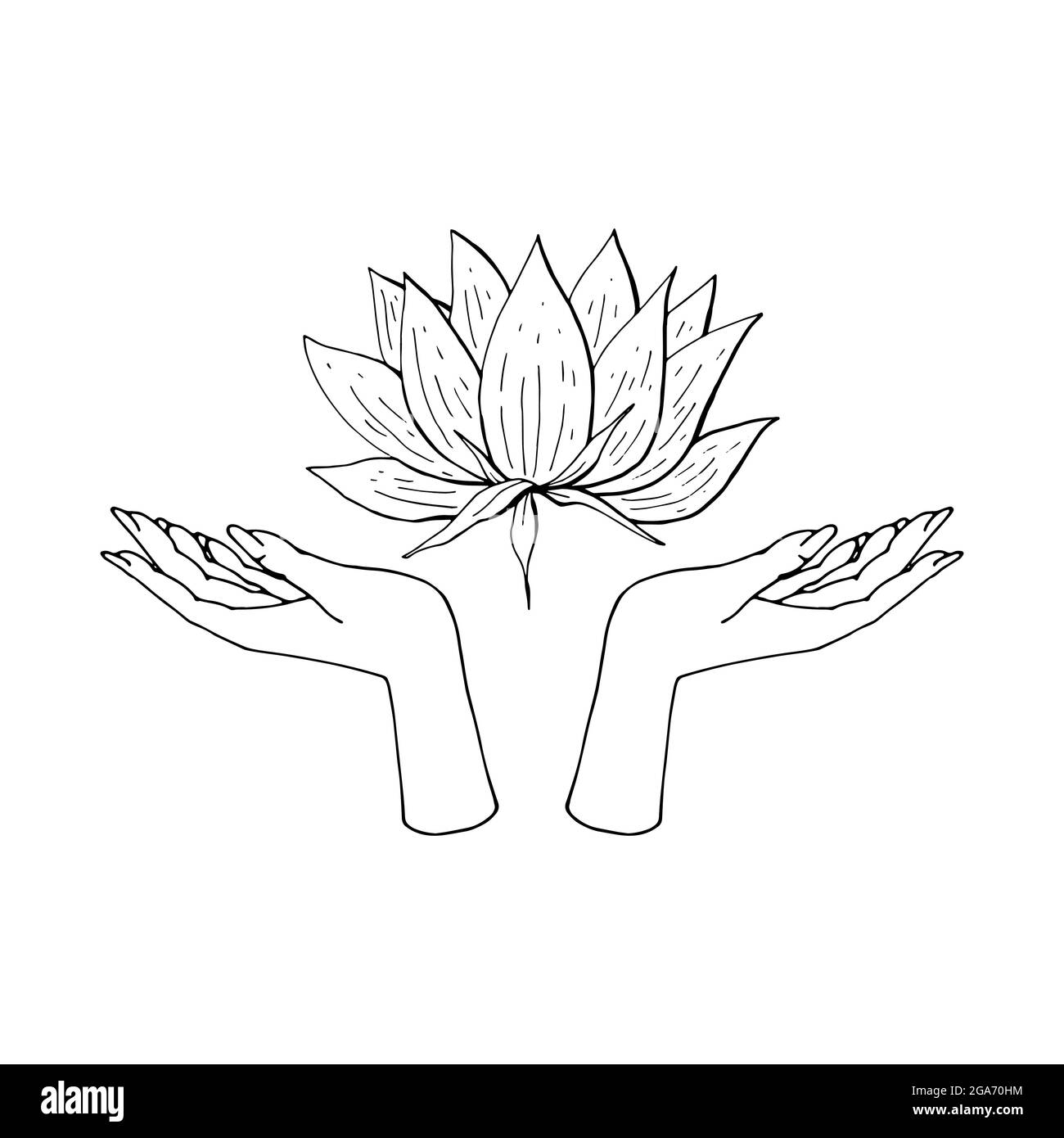 Hand holding lotus flower illustration hi-res stock photography and ...