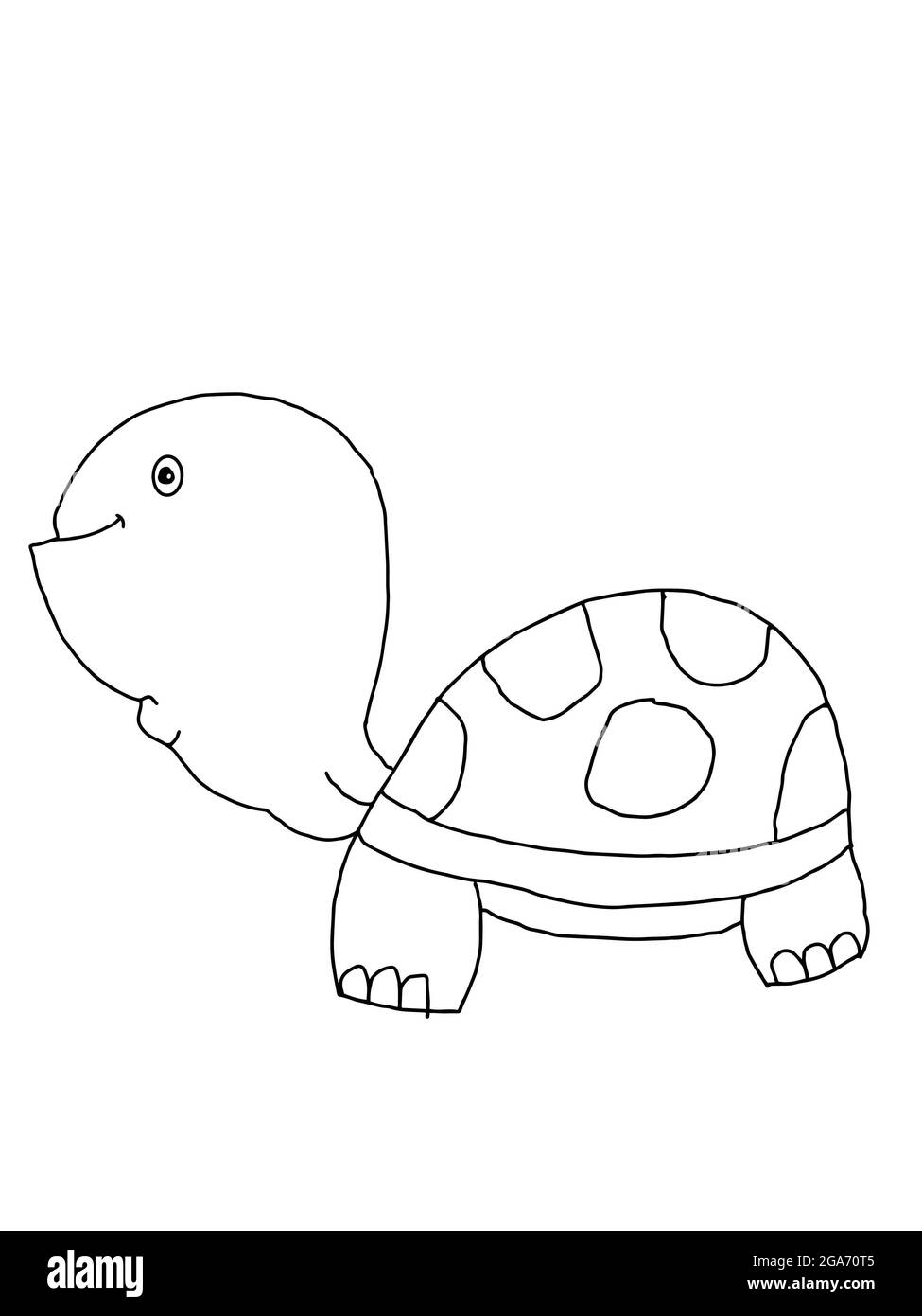 Cartoon Turtle Black And White