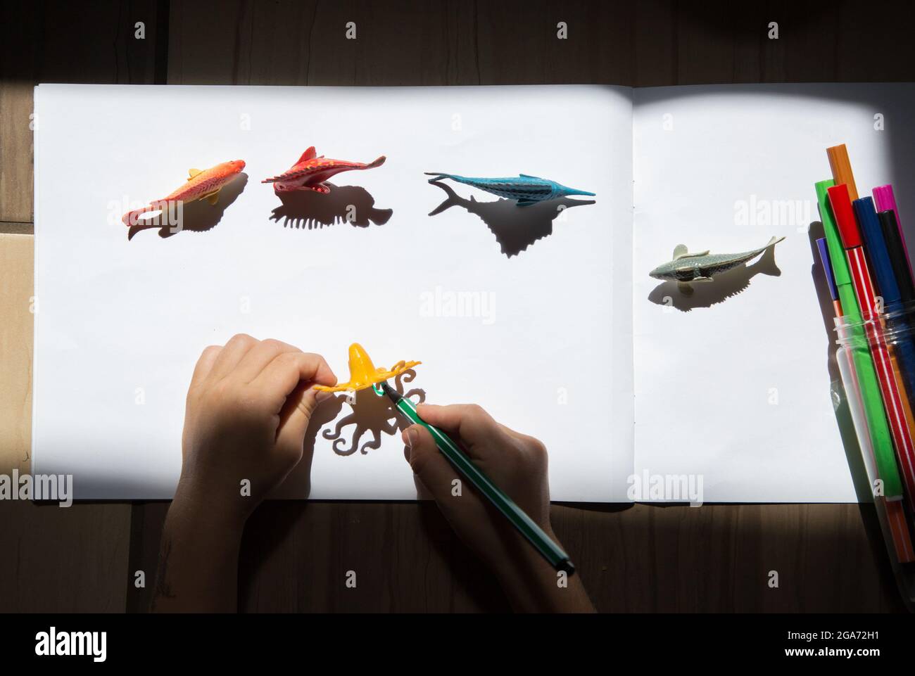 child draws contrasting interesting shadows from toy figures of animals ...