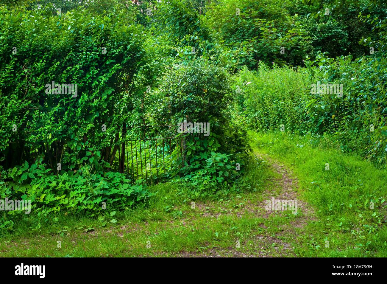 Wrought iron gate marking the entrance into an allotment Stock Photo ...