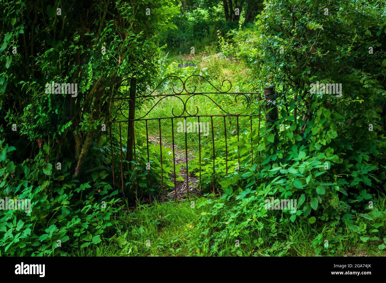 Wrought iron gate marking the entrance into an allotment Stock Photo ...