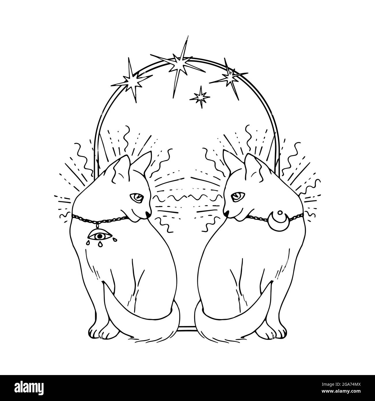 Vintage Mystic Cats and stars inside arch drawing Stock Vector Image ...