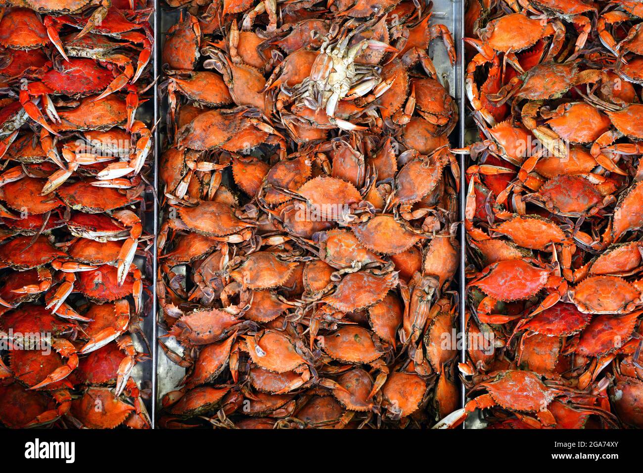 Boiled crab at a seafood market in Washington, DC Stock Photo - Alamy