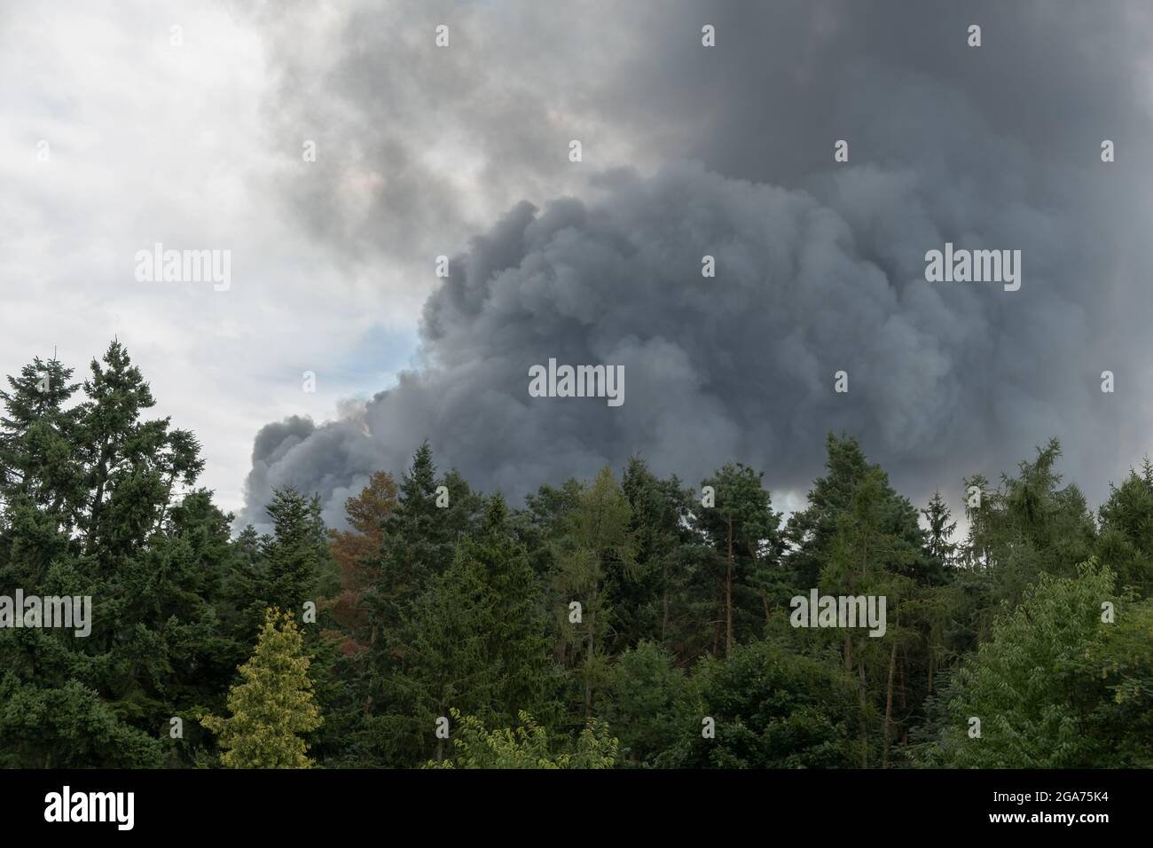 black smoke rising from forest fire Stock Photo - Alamy