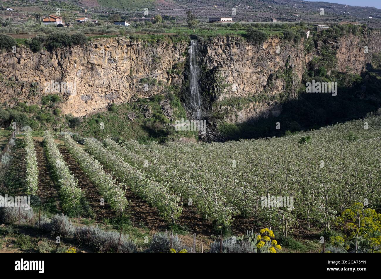 landscape of Sicily in spring lava gorges of Simeto river with ...