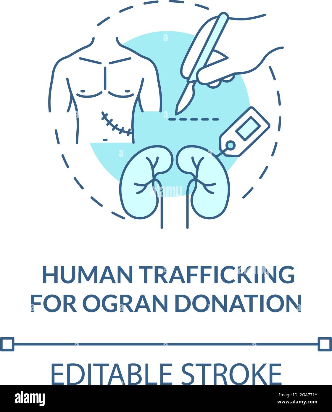 Human trade for organ donation blue concept icon Stock Vector Image ...