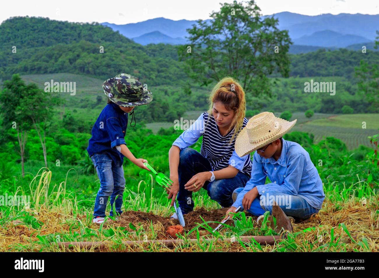 Asian family planting tree in farm near mountain Stock Photo - Alamy